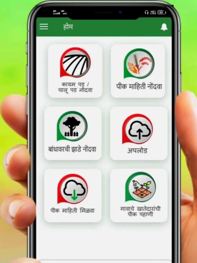 E Pik Pahani Status Farmer Scheme e-pik-pahani-status-farmer-scheme