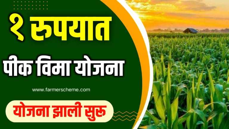 Crop Insurance Maharashtra; फक्त १ रुपयात भरता येणार पिक विमा » Farmer ...